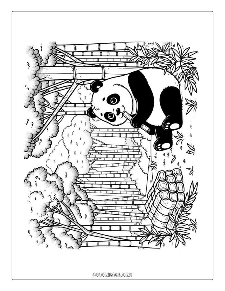 Panda Coloring Pages - Free PDF Printables 2024